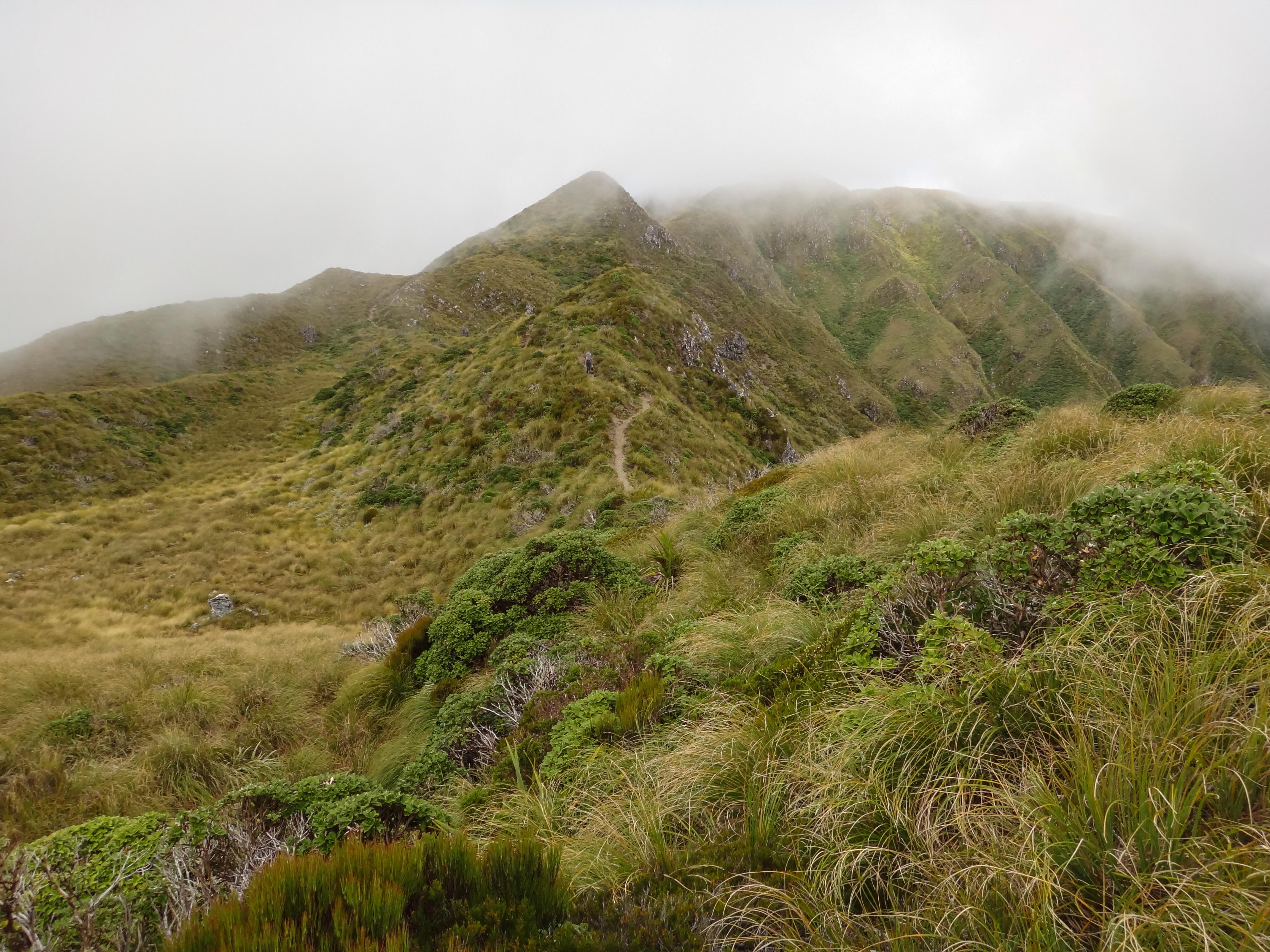 Tararua Ranges weekend | trackmyadventures