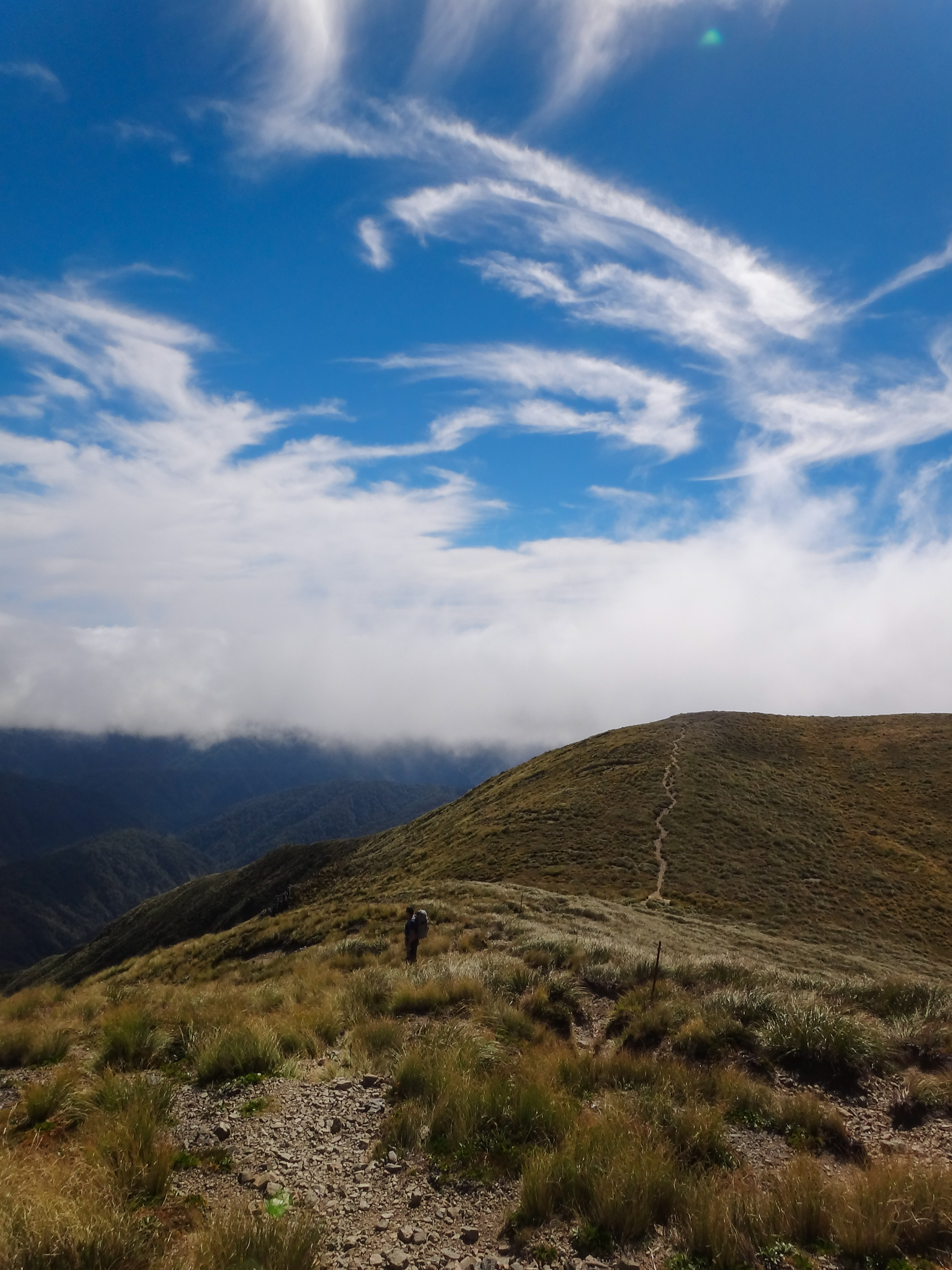 Tararua Ranges weekend | trackmyadventures