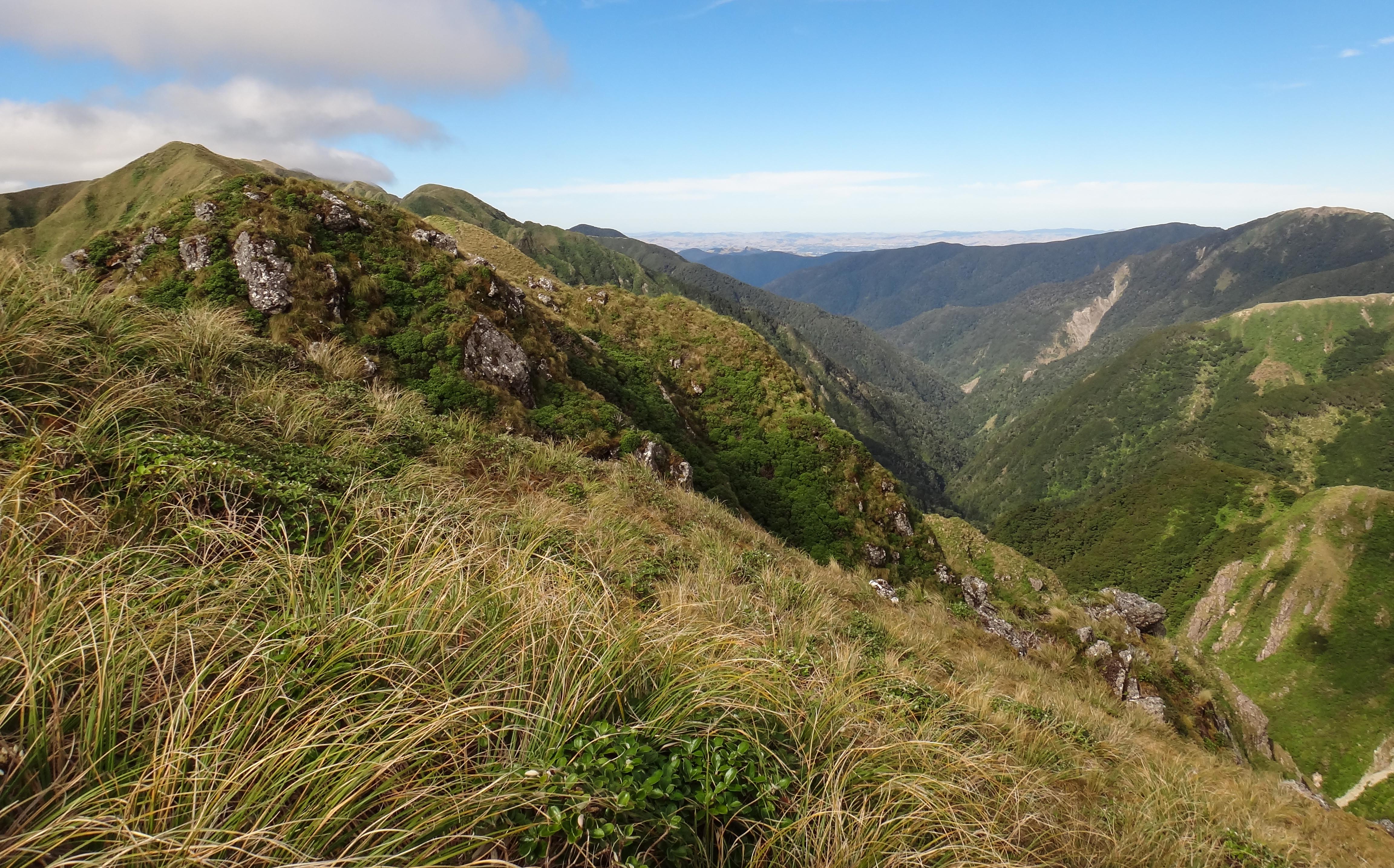 Tararua Ranges weekend | trackmyadventures